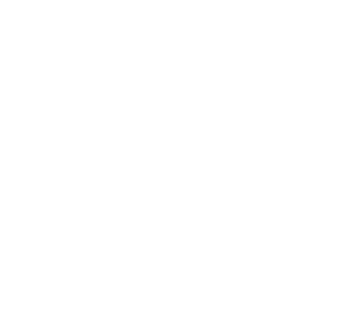 Meet the Team - Pure Global
